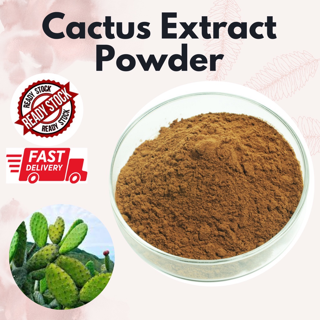 Cactus Extract Powder/ Serbuk Ekstrak Kaktus/ 仙人掌提取物 (Lower blood ...