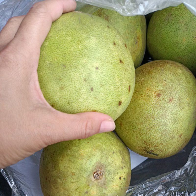 limau bali Vietnam Masam Manis isi pink 1biji (Anggaran 500g) | Shopee ...