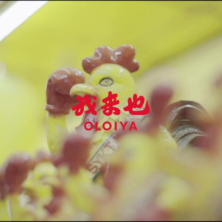 Oloiya Pork Bakkwa 我来也猪肉干 Babi Salai - Vacuum Pack / Pembungkusan Vakum ...