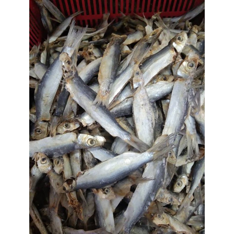 ikan tamban kering /masin 500g | Shopee Malaysia
