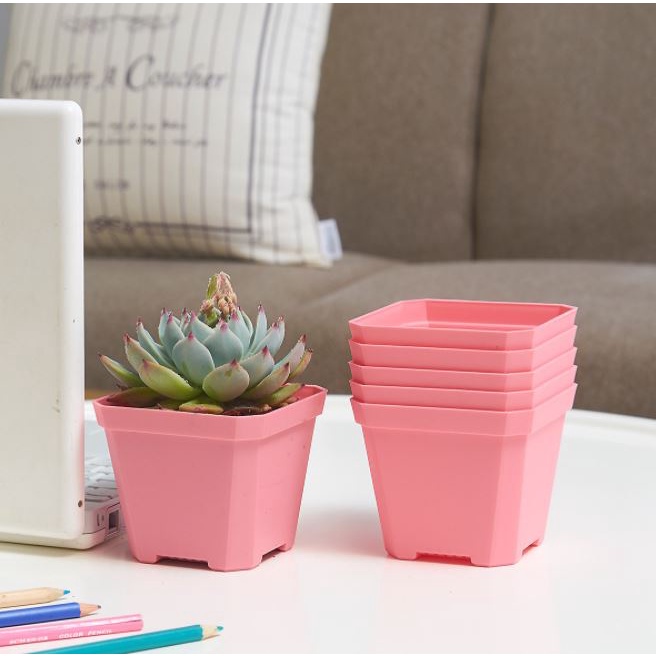 COLORFUL COLOR SUCCULENT CACTUS SQUARE PLASTIC POT PASU MINI PLASTIK ...
