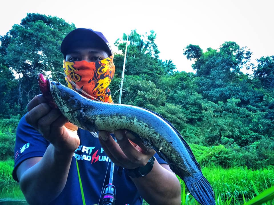 EXP ROX FROG Soft Rubber Frog Expert For Snakehead Hunter Haruan/Toman ...