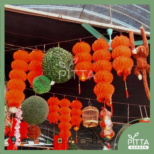 CNY Deco Paper Lantern Tanglung Chinese New Year Ornament Accessories ...