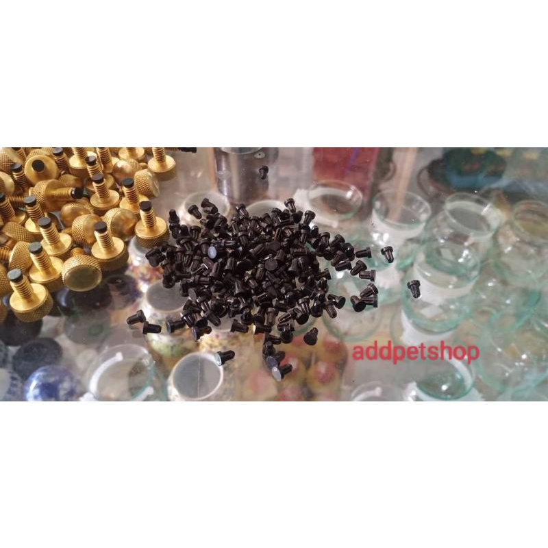 getah skru kantau merbok | Shopee Malaysia