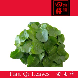 Tian Qi Leaves 田七叶 (200GM+/-) | Shopee Malaysia