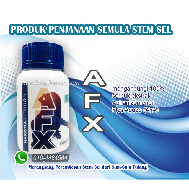 Kapsul Ekstrak AFA (AFX) | Shopee Malaysia