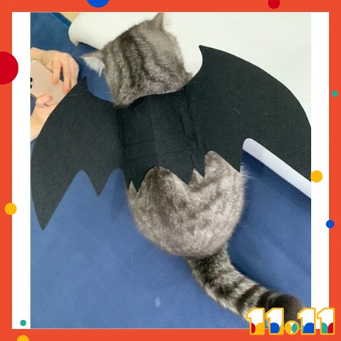 Mainan Kucing Comel Ready Stock Malaysia 2021 Cat Toy Batman Wing Cute ...