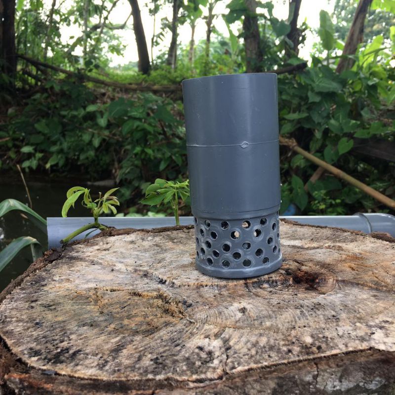 Tusen valve nest 2 inch/dim | Shopee Malaysia