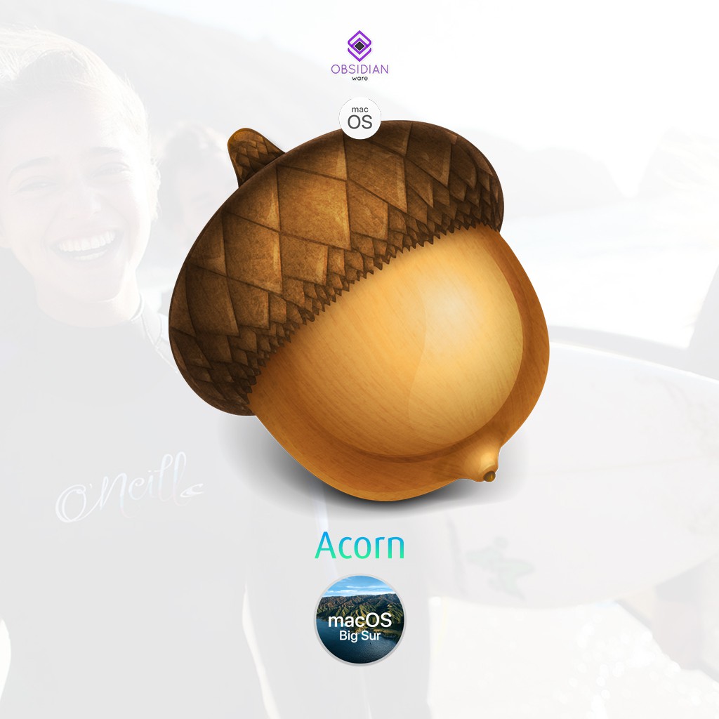 Acorn 7.1 macOS Full Lifetime Big Sur Ready Image Editor | Shopee Malaysia