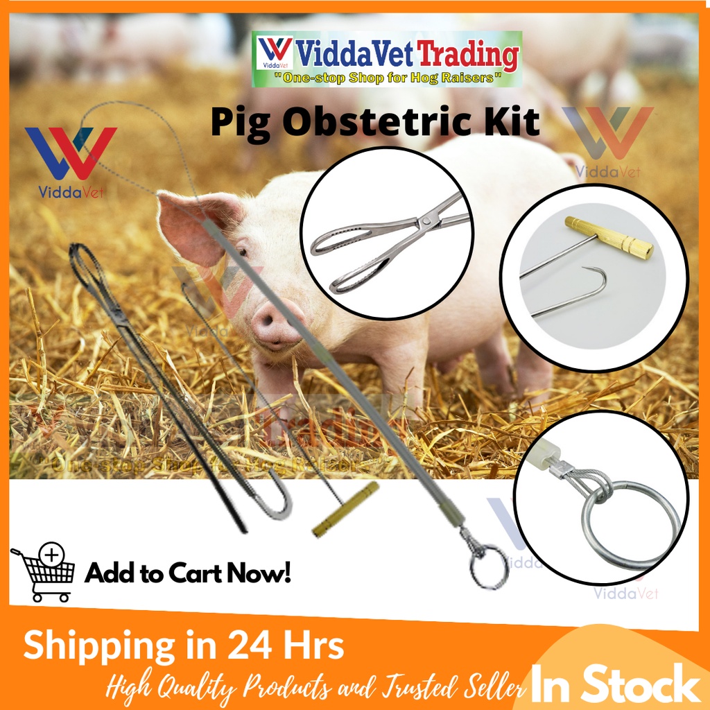 Swine Pig Obstetrical Midwifery Tools Kit Stainless Steel Forceps ...
