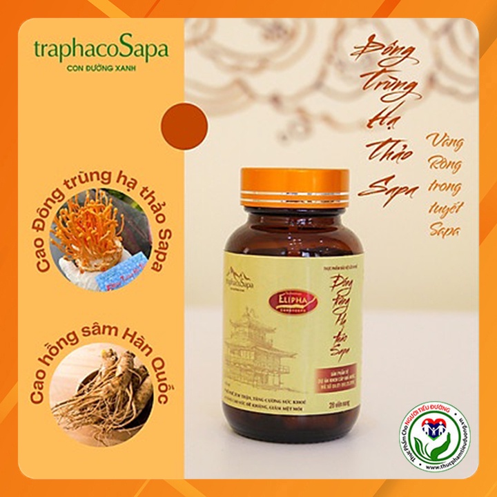 Cordyceps Traphaco Sapa Capsules (28 capsules) | Kapsul Cordyceps ...