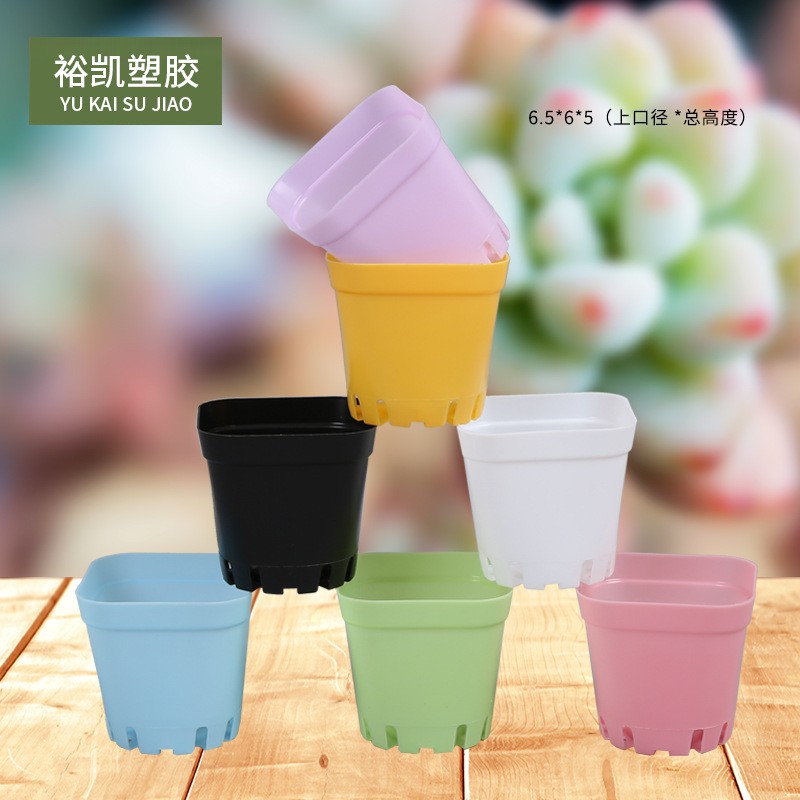 Wecareyou20 4"-10" Square Plastic Flower Pot Pasu Bunga Hiasan Empat ...