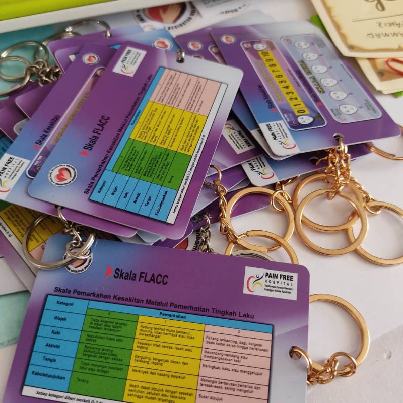 Pain Score Card Keychain Pain Score Scale Flacc Scale ATM card Size ...