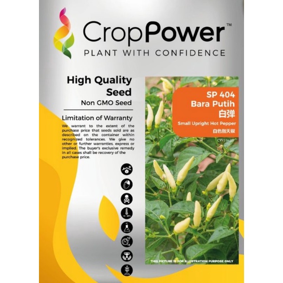 Biji benih cili api BARA PUTIH Selected seeds. REPACK Rm5.99 30pcs ...
