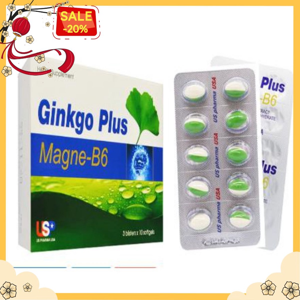 Ginkgo PLUS Magne-B Oral Tablets Help Increase Cerebral Circulation Box ...