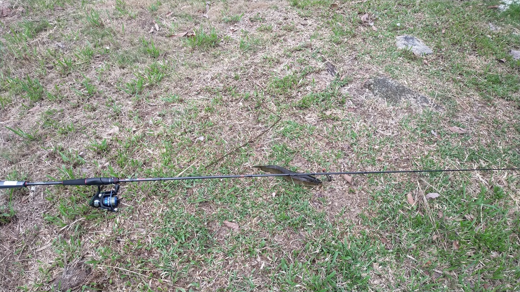 EXP BURST ROD Carbon Fiber 2PCS Fishing Rod Medium Light M Medium Heavy ...