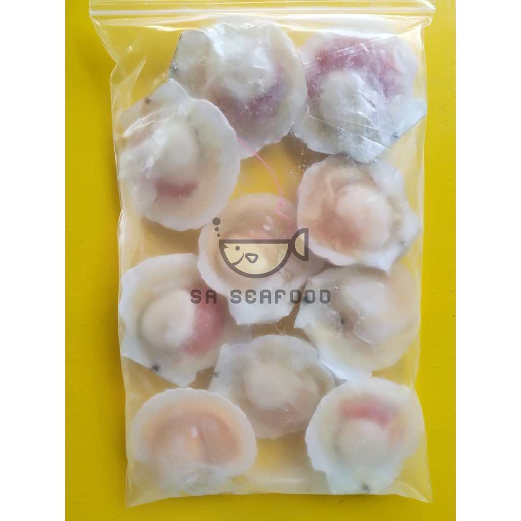 Half Shell Scallop Roe 8-9cm 1kg+-/Pack | Shopee Malaysia
