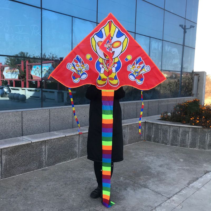 🎉Ready Stocks 🎉Cartoon Triangle Kite with Long Tail 140cm / 120cm ...