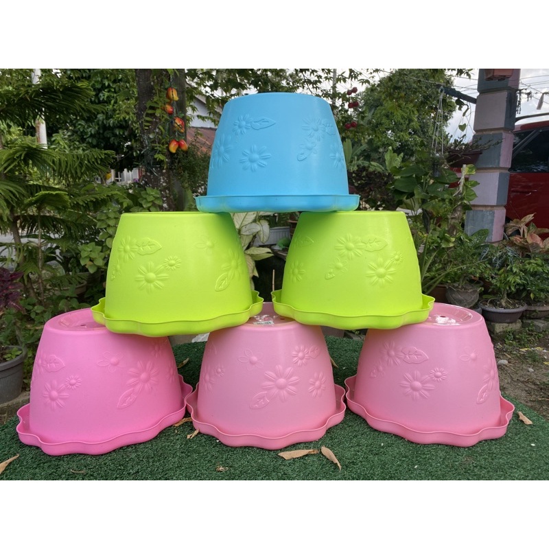 PASU PUTIH EMPAT SEGI 11cm x 11cm / PASU BUNGA SAIZ POKOK SEMAIAN ...