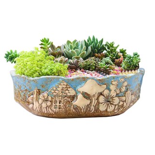 READY STOCK Succulent Pot Cactus Pot Ceramic Pot 陶瓷盆 多肉花盆 仙人掌盆 花盆 Pasu ...