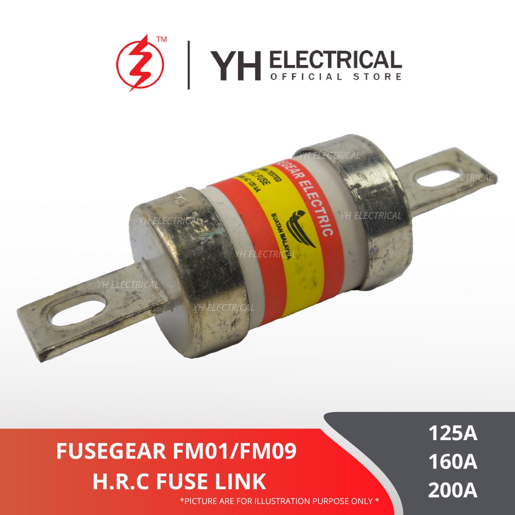 FUSEGEAR FM01/M09 125A, 160A, 200A CENTER BOLTED TAG HRC FUSE | Shopee ...
