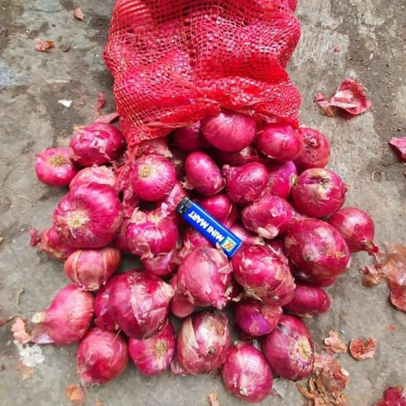 MERAH Indian RED ONION 1KG | Shopee Malaysia