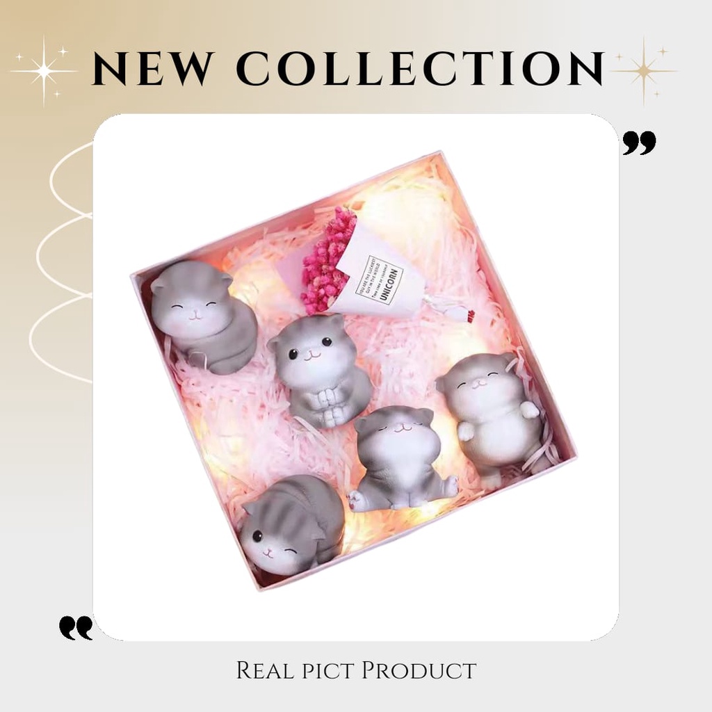 Hdb CATSET Mini Paint Display / Room Decoration Living Room Display ...