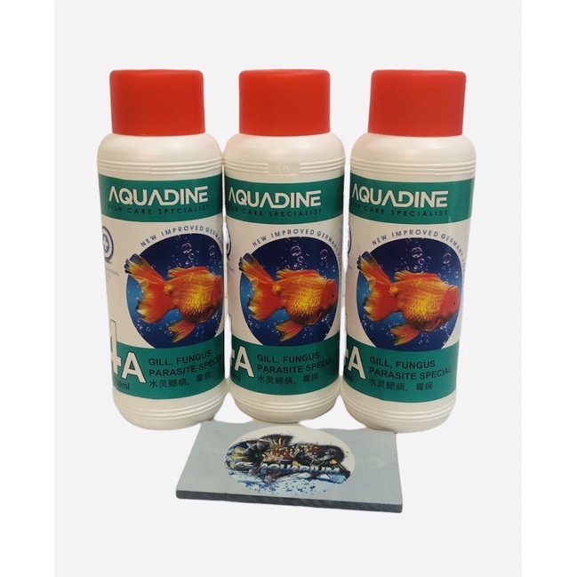 Aquadene 4A GILL FUNGUS, PARASITE SPECIES 200ml | Shopee Malaysia