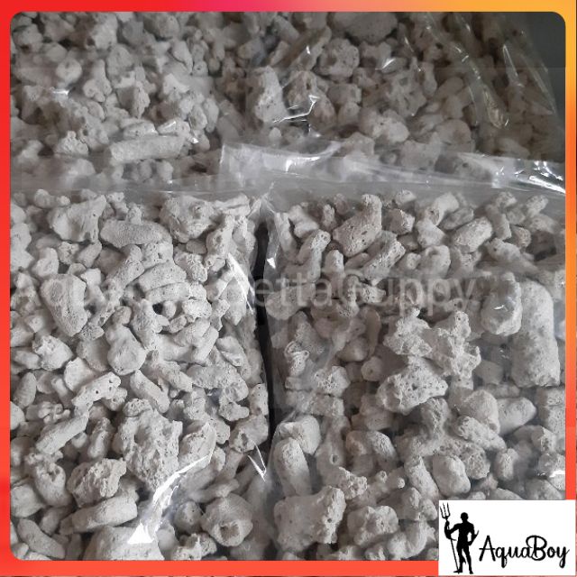 1 kg Aquarium Coral Stone Filter Media (Large Size) | Shopee Malaysia