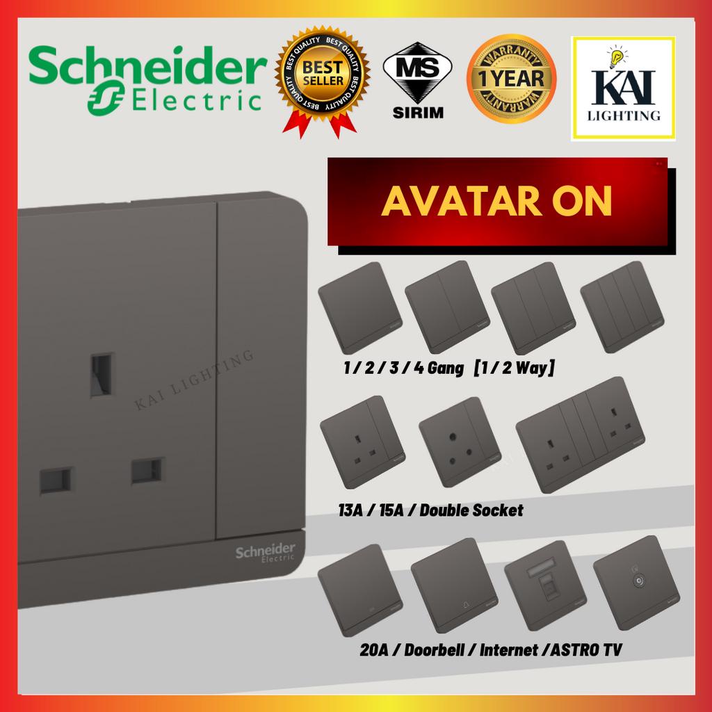 Schneider Electric Avatar On Full Series Switches With Fluorescent ...