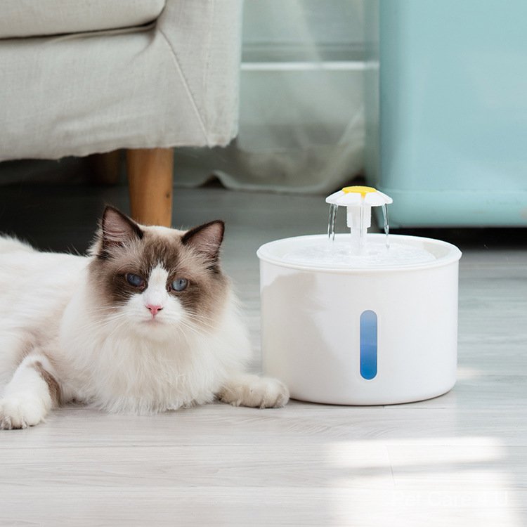 Fancy Pet Smart Water Dispenser Cat Water Fountain Automatic ...