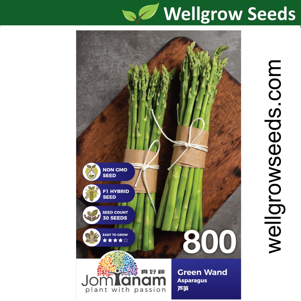 Asparagus Green Wand (30 seeds) 芦笋 Jom Tanam by Crop Power JT800 Biji ...