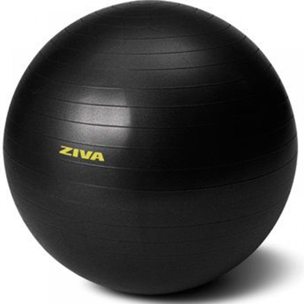 United Lifestyle: ZIVA Anti Burst Fitness Exercise Ball - Includes Hand ...