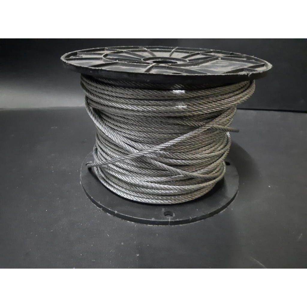 3 mm Galvanised Iron Wire Rope/ Galvanised Steel Wire Rope | Shopee ...