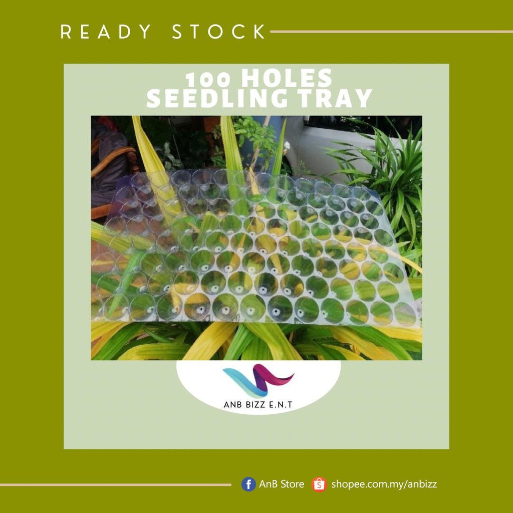 🛒Tray Semaian Transparent seedling tray nursery tray Nampak Pergerakan ...