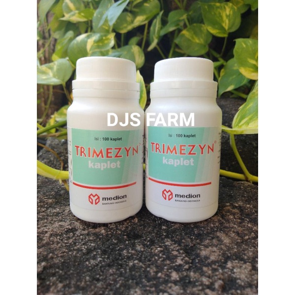 Trimezyn Medion Caplet Contents 100 Antibiotic Drugs Cough Cold ...