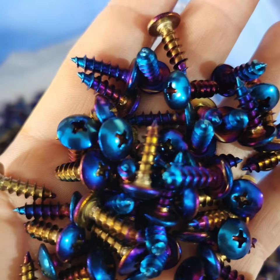 [Ready Stock]10pcs M5 TITANIUM GOLD UNIVERSAL SKRU COVER SET TITANIUM ...