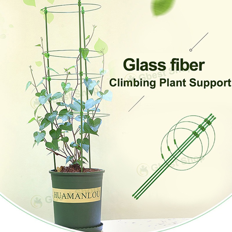 Conical plant climbing support stick net flower rack ring frame stand ...