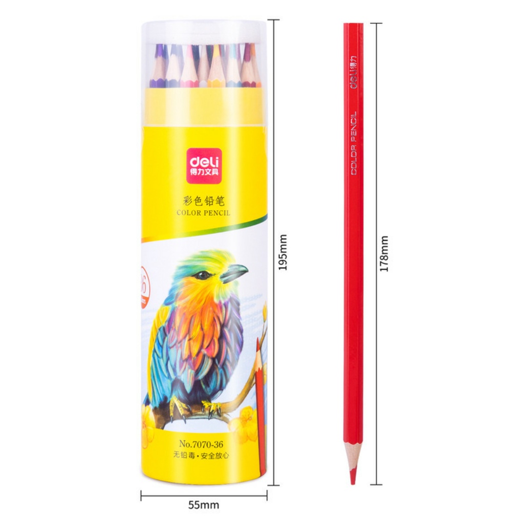 Colour Pencil (SNT) Pensil Warna (7070) Painting / Color Pencil / Deli ...
