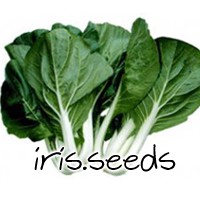 [500pcs] Pak Choy Giant Fan Leaves Benih Sayur | Shopee Malaysia