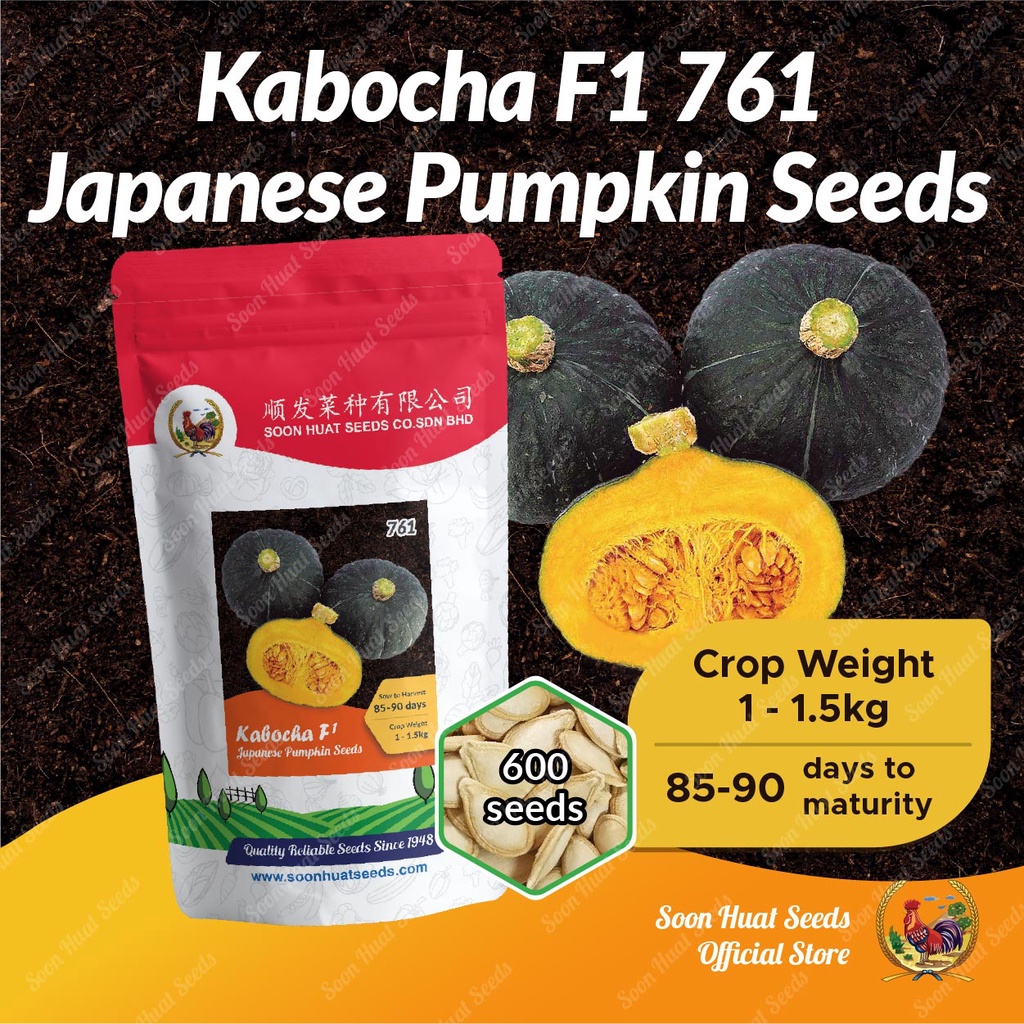 [100g] 761 Benih Labu Manis Jepun Kabocha Squash Soon Huat Seeds ...
