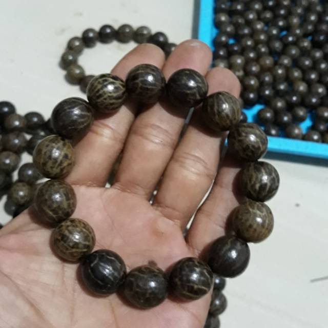 Original And natural gebang Seed Bracelet | Shopee Malaysia