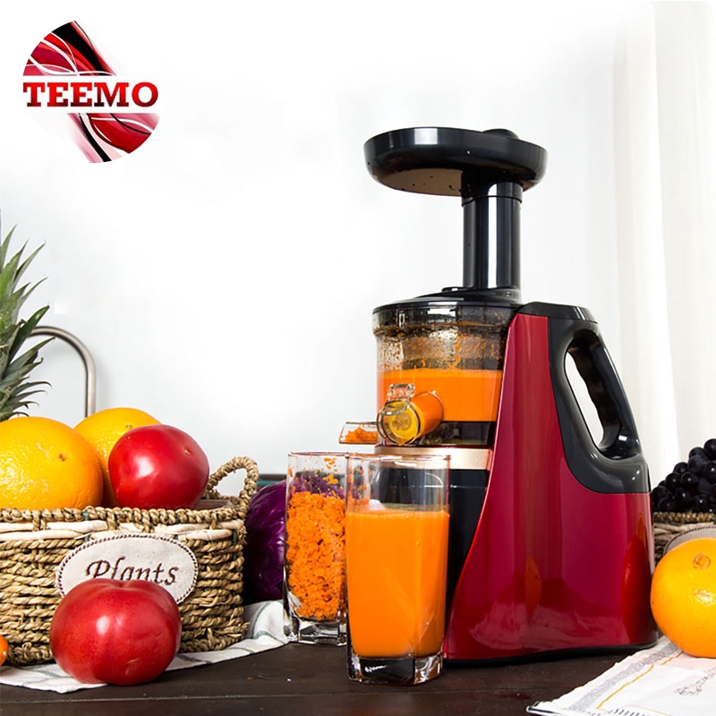 Teemo 150W Mini Juice Maker Low Speed Fresh Fruit & Vegetable Household ...