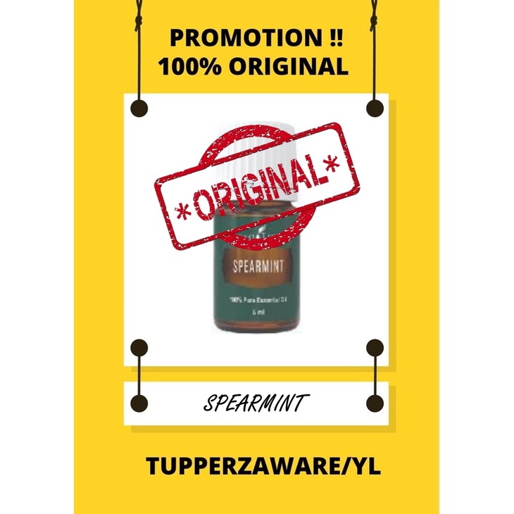 100 Original Yl Spearmint Essential Oil Shopee Malaysia