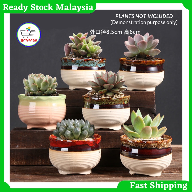 “Fabulous Kiln“ 6pcs pot for plant,succulent & cactus | Pasu bunga ...