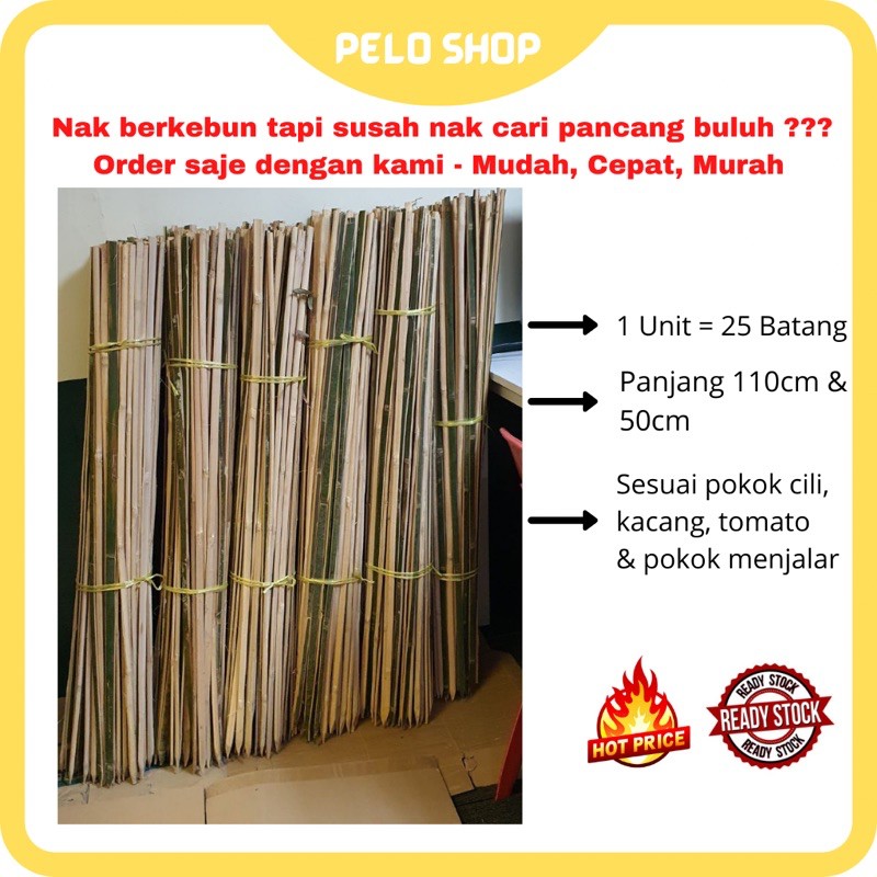 Buluh Pancang Pokok 1 ikat 25 Batang 110cm/50cm Bamboo Plants Stakes ...