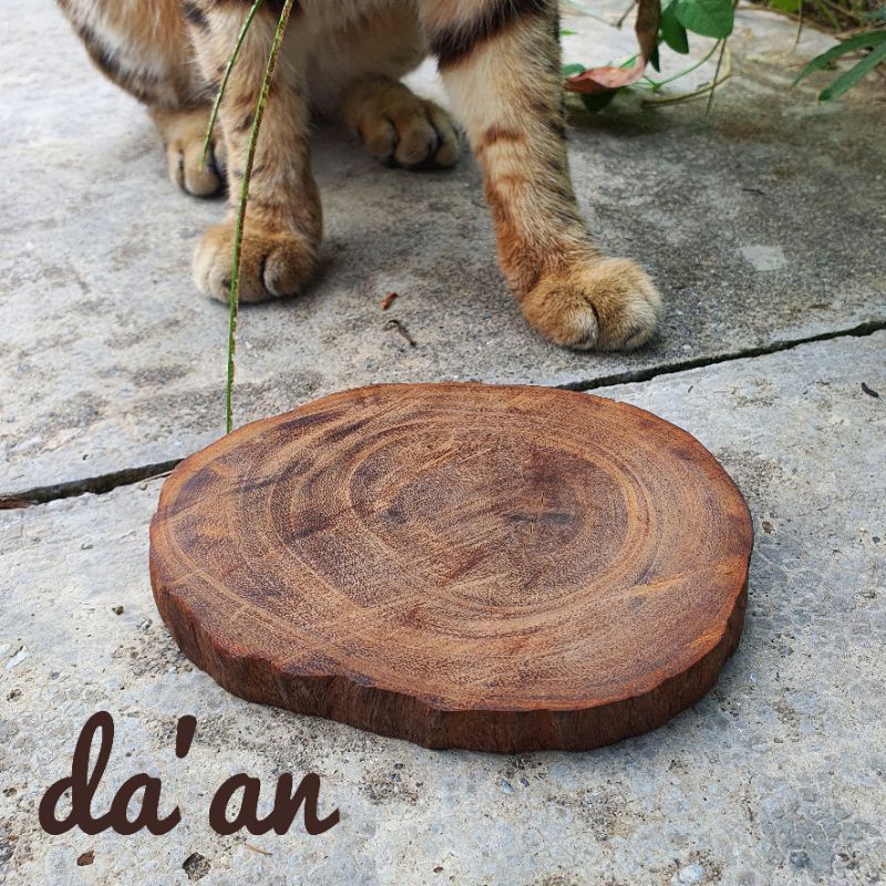 Rustic Natural wooden coaster kayu belian (big) | Shopee Malaysia