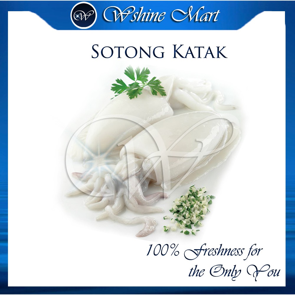 [100% Segar] Sotong Katak / Fresh CuttleFish - 500 gram (2-4 pieces ...