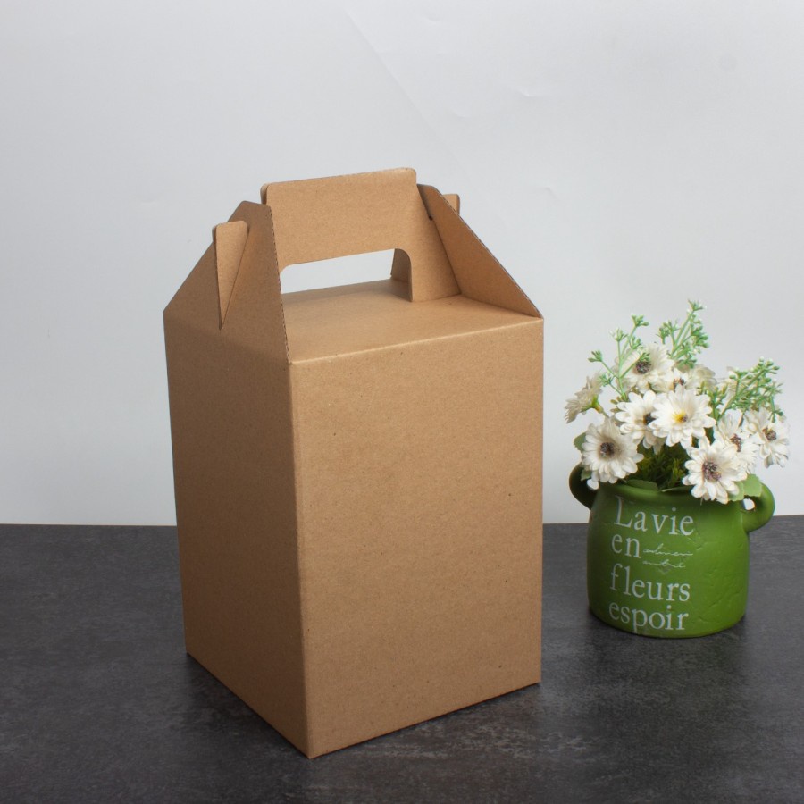 (10 Pcs) 1000ml Thinwall Mica Plastic Lunch Box Carrying Box Contains 3 ...