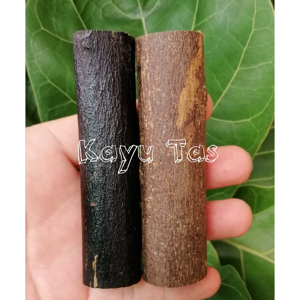 🔥Kayu Tas / Kayu Hujan Panas [Jantan & Betina] sepasang. | Shopee Malaysia